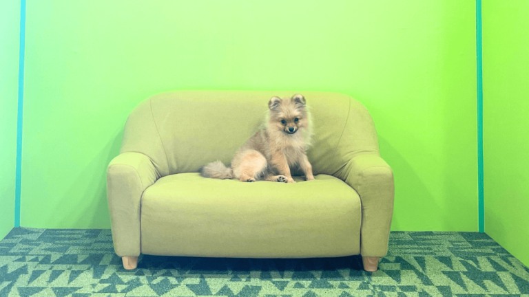 nicotrim | 中部国際空港セントレアからアクセス良好のペットホテル