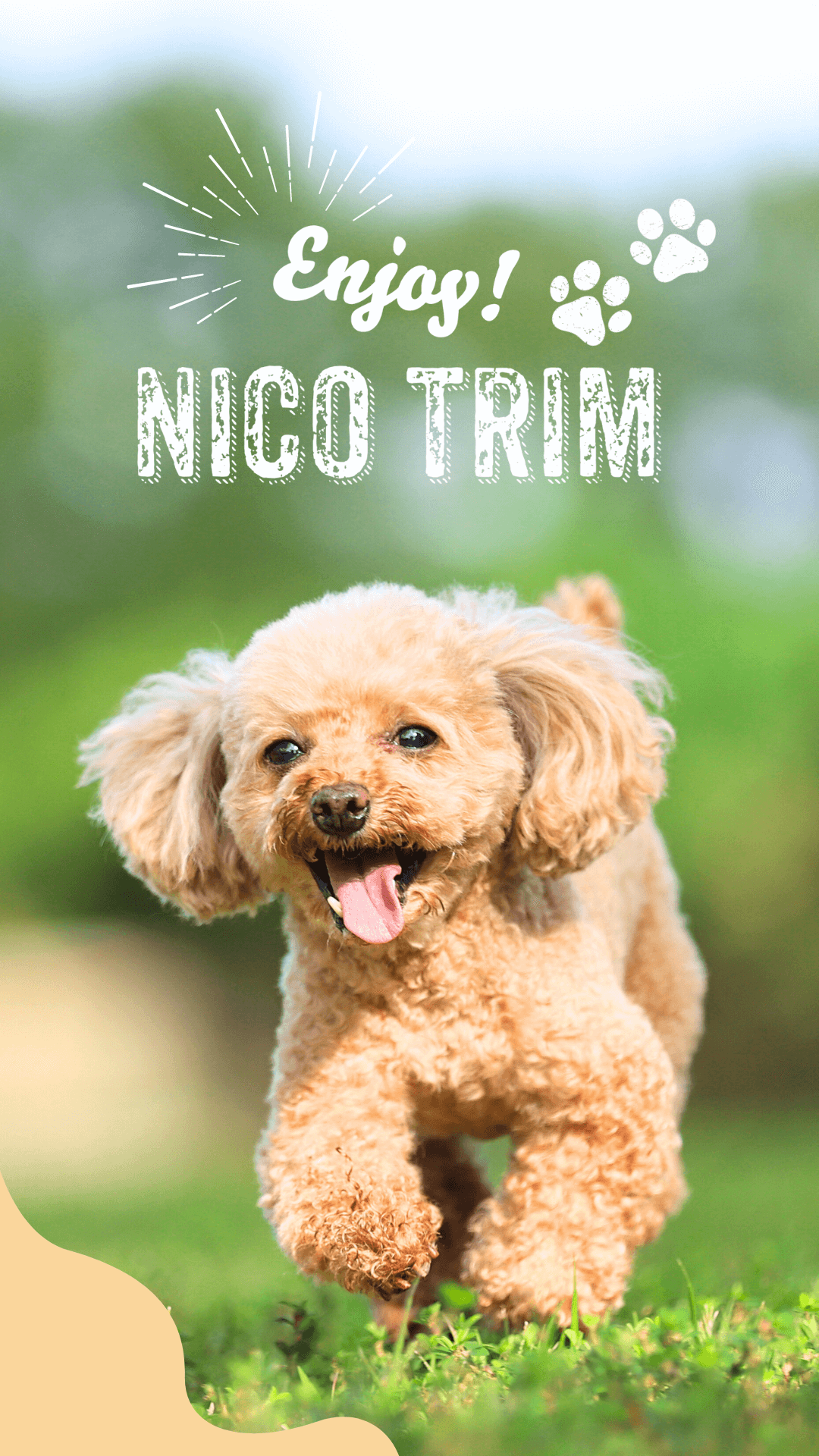 HOTEL | PET HOTEL&SALON nicotrim